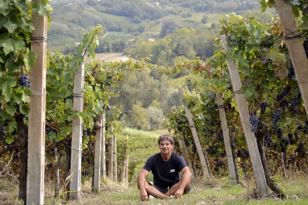 Marco Bonfante For Sale In Ireland | Solera Wines